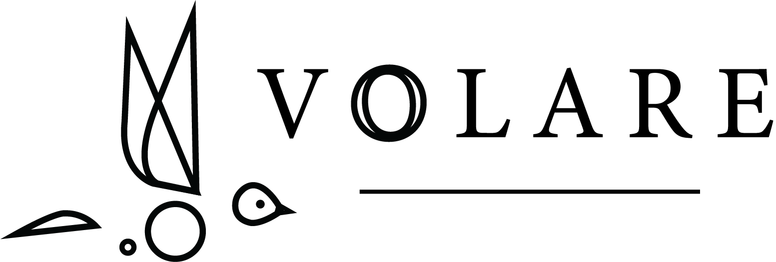 Handmade Luxury Ties & Accessories For Men | Volare Clothing LLC